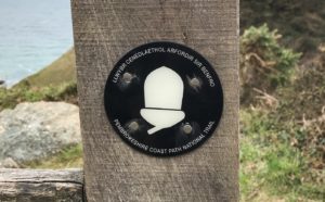 How to Walk the Pembrokeshire Coast Path: In-Depth Travel Guide