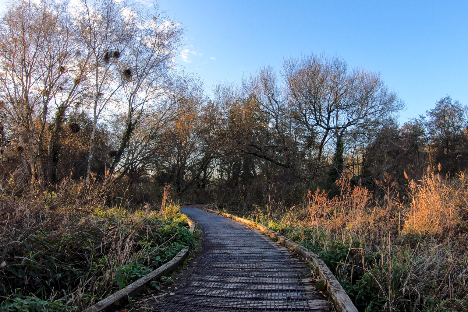 Top 5 Best Winchester Walks - Walk Wild - Adventure Travel Blog